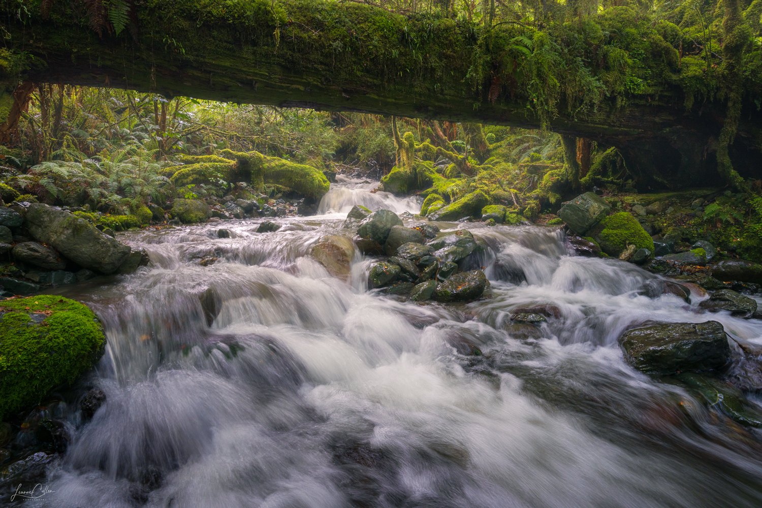 Lakes & Waterfalls - Leanne Cullen Photography