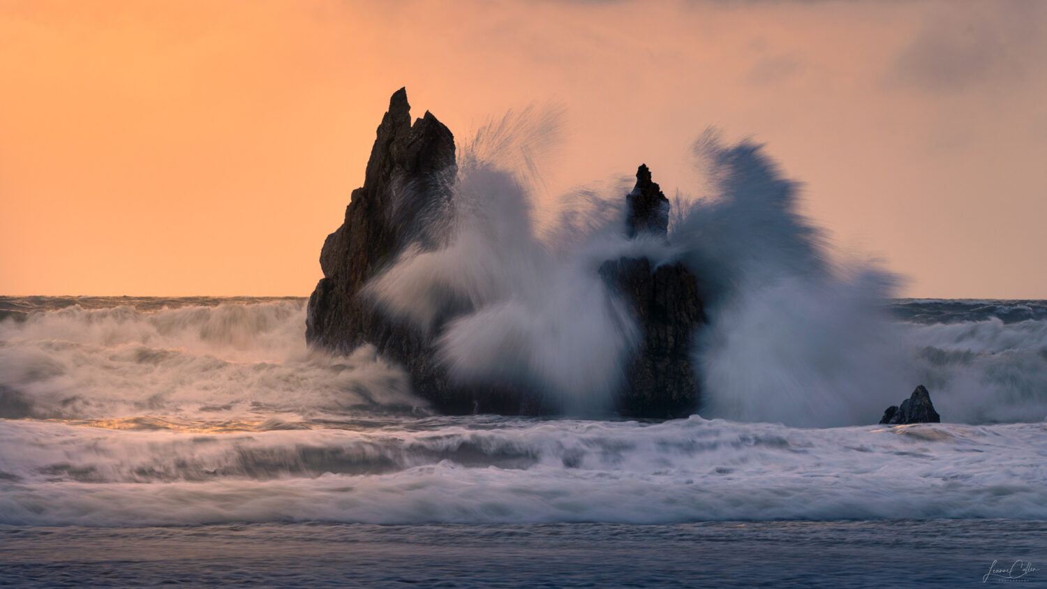 New Work - Leanne Cullen Photography